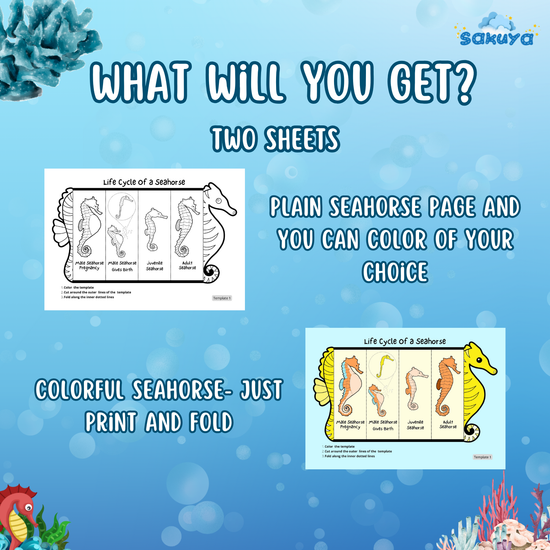 Sakuya Printable Foldable Seahorse with life cycle -Easy Craft Activit